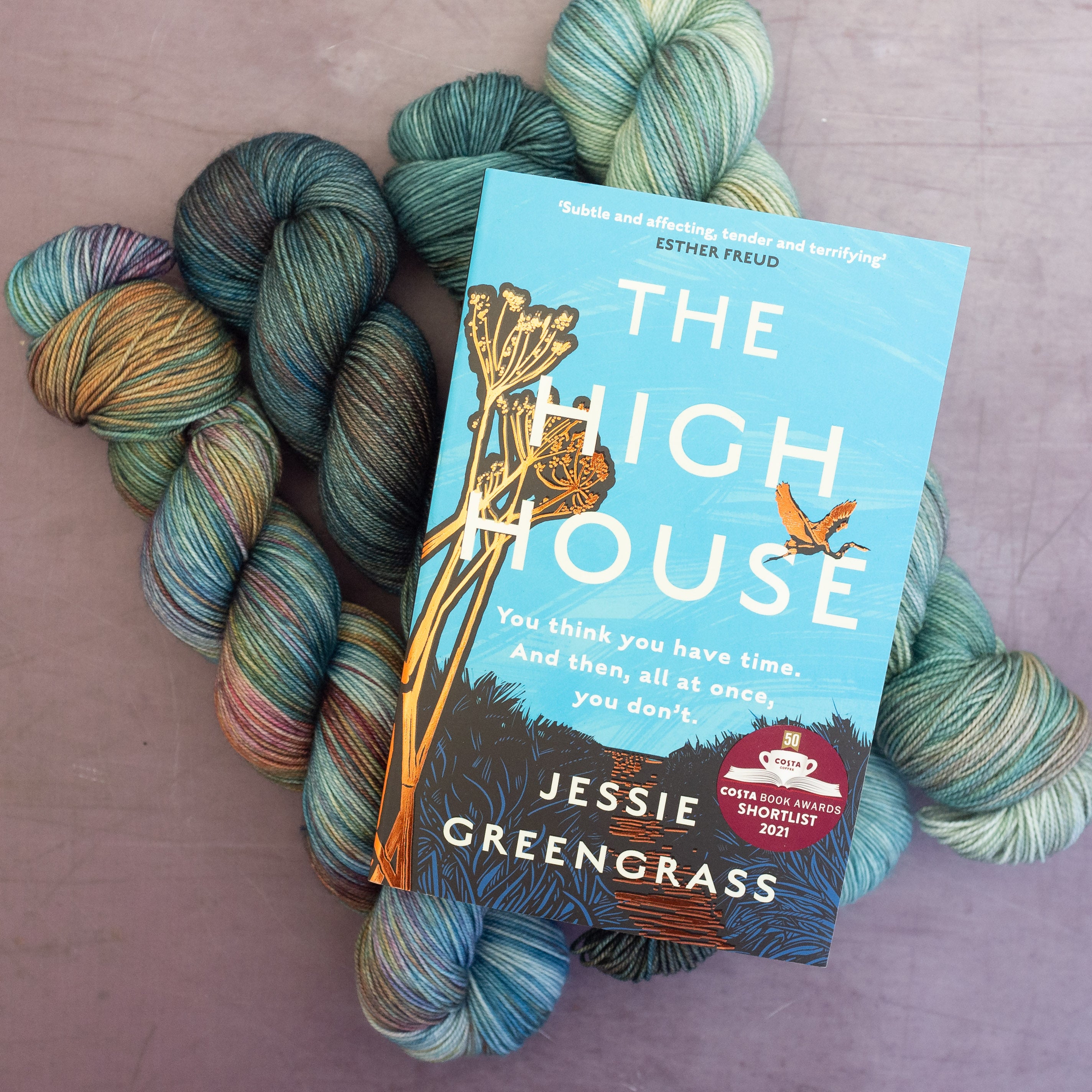 'currently reading' : The High House by Jessie Greengrass – Meadowyarn